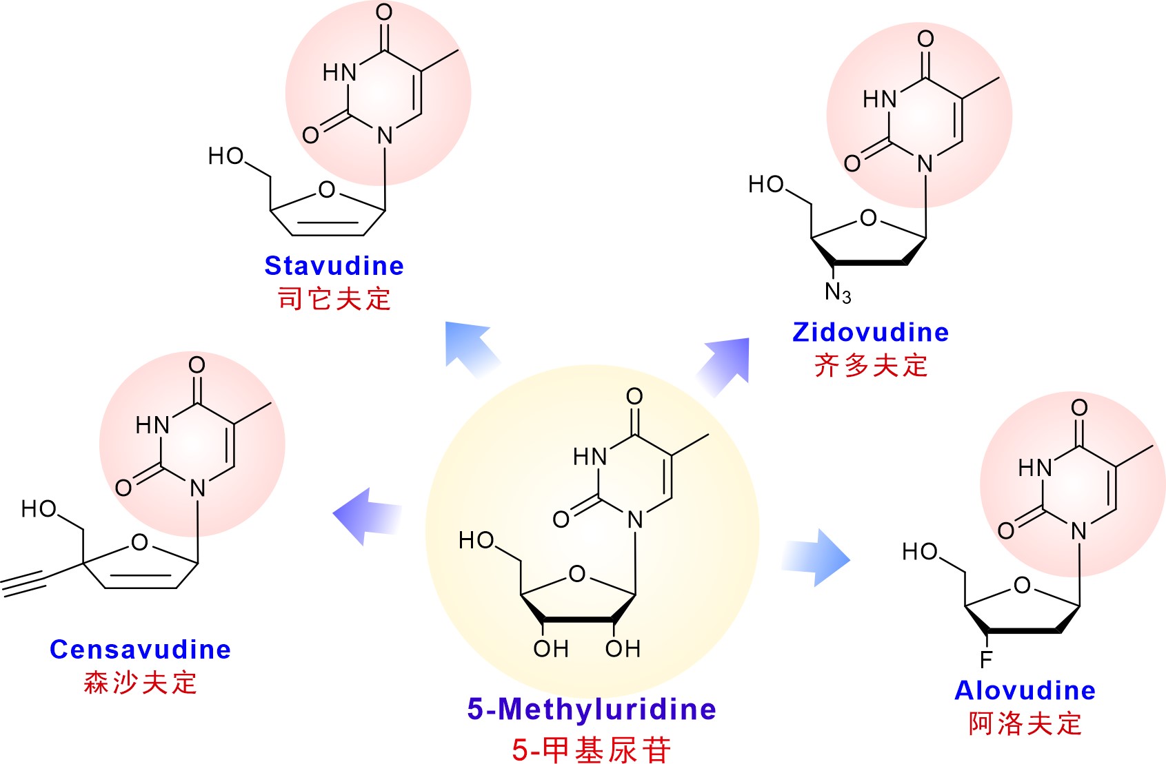 Metabolic Engineering|邓子新团队在核苷类医药中间体的生物智造方面实现突破-武汉大学药学院